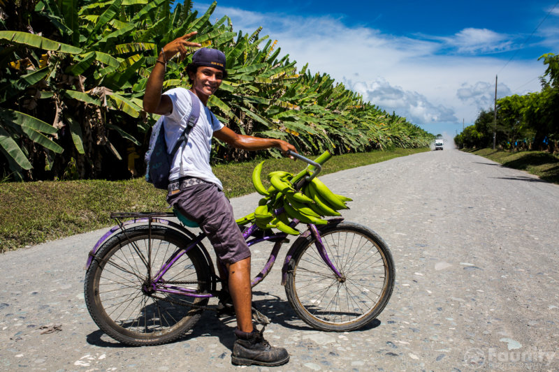 Im Küstenregenwald der Pacuare Mündung an der costaricanischen ...