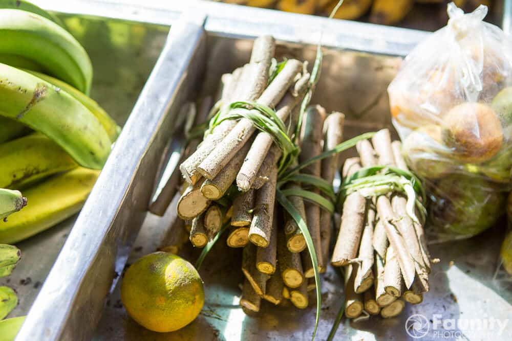 Costa Rica Projektreise 2018 – Zentraltal um San José und Irazu ...